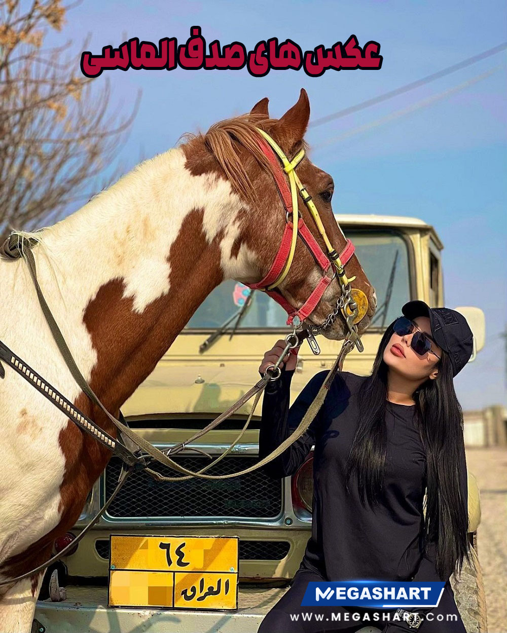 بیوگرافی صدف الماسی Sadaf Almasi